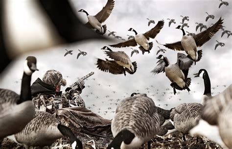 Лучшие фотографии охоты журнала Petersen's Hunting