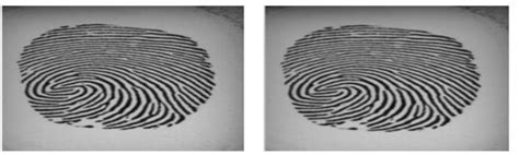 Figure 3 From Svm And Random Forest Classification Methods For Fingerprint Liveness Detection