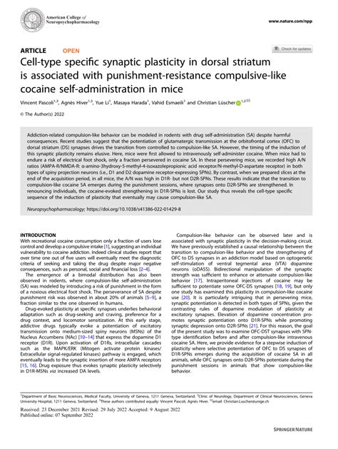 Pdf Cell Type Specific Synaptic Plasticity In Dorsal Striatum Is Associated With Punishment