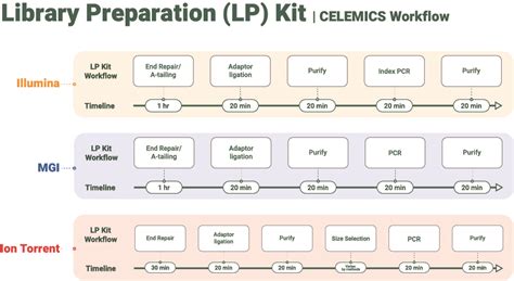 The Workflow Of Ngs Library Preparation Kit Celemics Inc