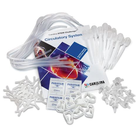 Carolina Stem Challenge® Circulatory System 8 Station Kit Carolina