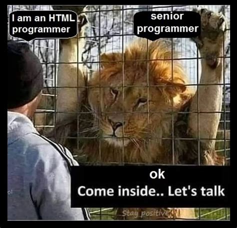 Programmer Life Memes