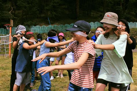 მწვანე ბანაკი • Green Camp Tbilisi