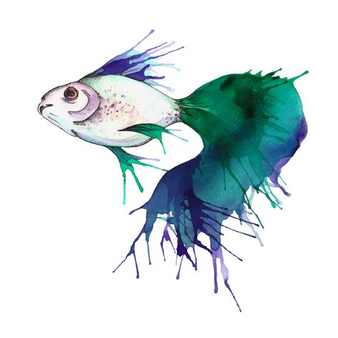 Watercolor Fish Abstract Splashes And Vibrant Colors Fantasy