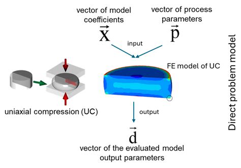 Towards A Direct Consideration Of Microstructure Deformation During Dynamic Recrystallisation