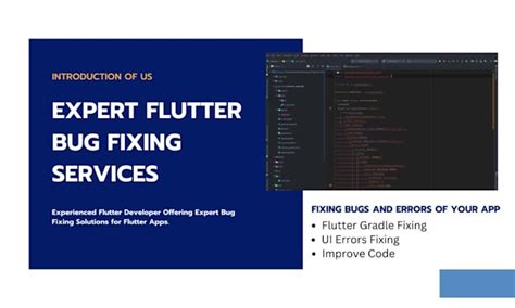 Do Fixing Bugs And Errors With Expertise By Waqaswdexpart Fiverr