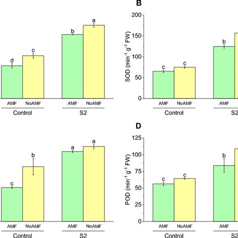 Effect Of Arbuscular Mycorrhizal Fungi Amf On The Concentration Of