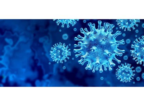 Sars Cov 2 Variants A New Public Health Crisis