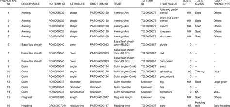The Mutant Phenotype Cv Posted At The Iris Mutant Website Download