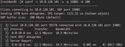 Udp Connectivity Testing