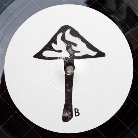 Alpha Steppa 3rd Kingdom Lp