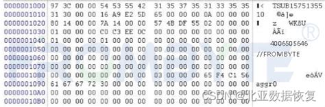 【服务器数据恢复】netapp存储中的oracle数据库数据恢复案例 netapp 的节点信息 csdn博客