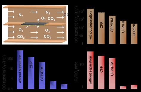 A Schematic Diagram Of Gas Separation Setup For Measuring The Download Scientific Diagram