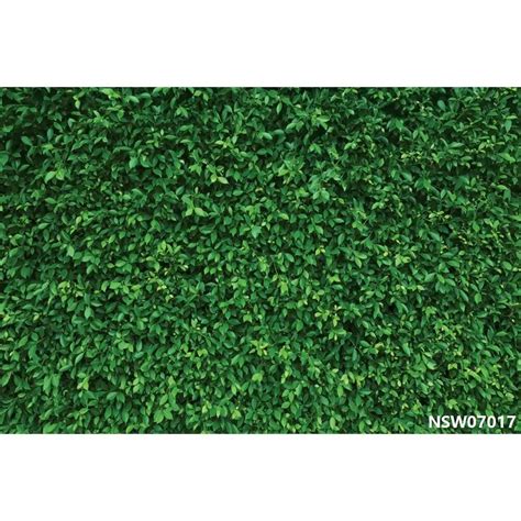 Birthday Photo Backgrounds Green Grass Wall Tropical Plants Leaves