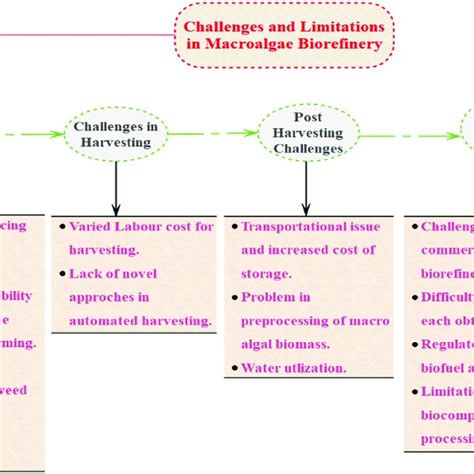 Various Methods Of Macroalgae Cultivation System Download Scientific