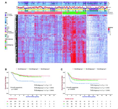 Transcriptome Background Within Tme Landscape Degs Among Download Scientific Diagram