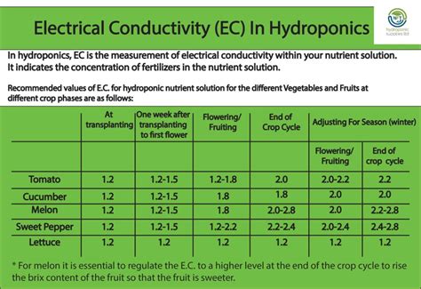 Complete Guide About Hydroponic Nutrient Solution Ratios