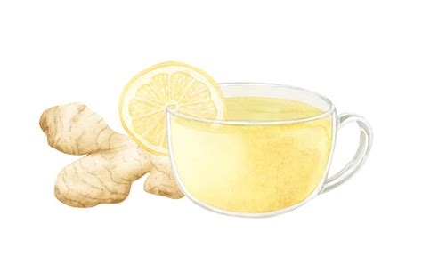 수채화 허브 차 레몬 슬라이스와 생강 유리 머그잔 수채화 그림은 흰색에 고립되어 있습니다 가을과 겨울철에 독감과 감기에 대비한