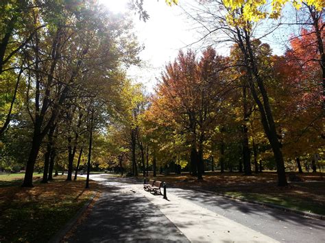 Paul Tomaszewski Home