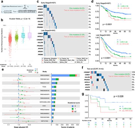 Building Of Eight Gene Mutational Score A The Formula Definition Of The