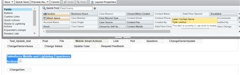 Change Owner Update Record Using Lightning Custom Button Salesforce