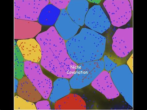 Free Video Inferring Cell Cell Communication From Single Cell Spatially Resolved
