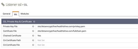 openlitespeed ssl labs this server s certificate chain is