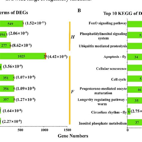 Top 10 Go Terms And Kegg Pathways Of Degs A Top 10 Go Terms Of Degs Download Scientific