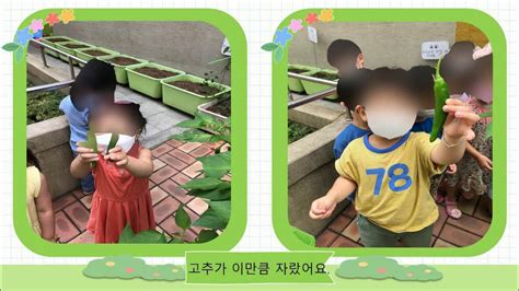 롯데캐슬킨더 어린이집 특색놀이 텃밭 Youtube