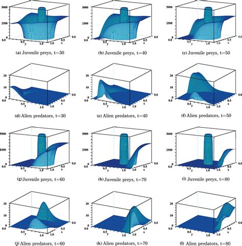 Transient Behaviour For The Age Structured Model 10 When Cats Have A Download Scientific