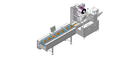 Automatic Packaging Machine Automatic Packaging System Ruipuhua