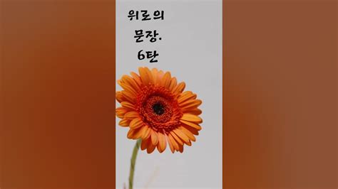 위로의 문장 6탄 Youtube