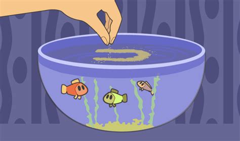 What Is Unix Hosting Unveiling The Benefits And Choosing The Right