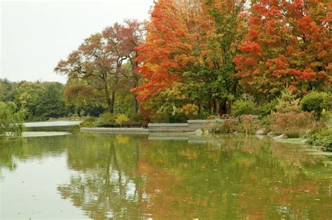 What Is The Difference Between Maple Oak Trees Hunker