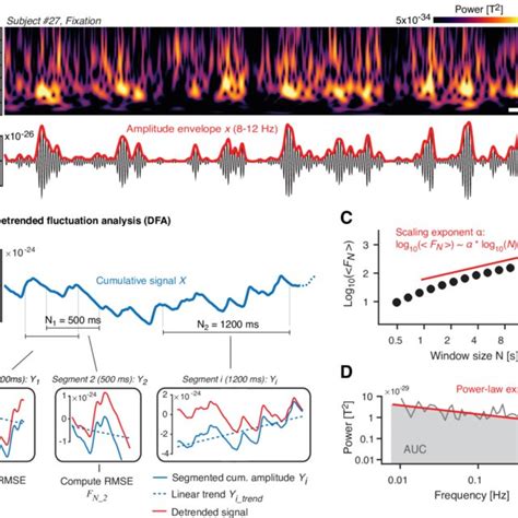 Quantifying The Temporal Structure Of Fluctuations In Oscillatory
