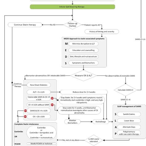 International Lipid Expert Panel Ilep Algorithm For The Management Of Download Scientific