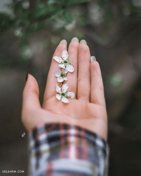 55 عکس دست عاشقانه و رمانتیک برای پروفایل و اینستاگرام