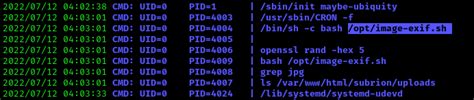 ExifTool Arbitrary Code Execution Privilege Escalation CVE VK Security