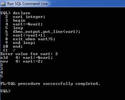 PL SQL Loops