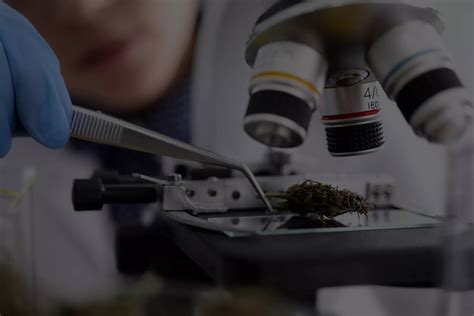 Physicochemical Testing Agencja Detektywistyczna Kob Group Prywatny