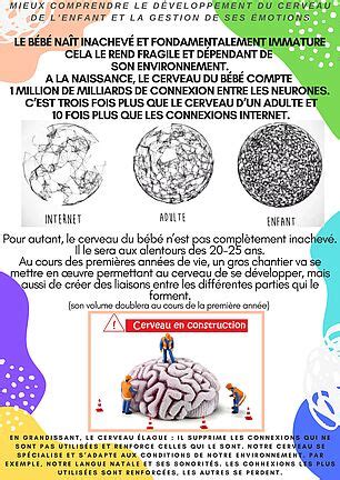 Fonctions Du Cerveau Pour Les Enfants Les écrans Le Cerveau Et