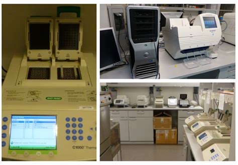 Door 8 The Dna Barcode Identification Machine The Invertebrate