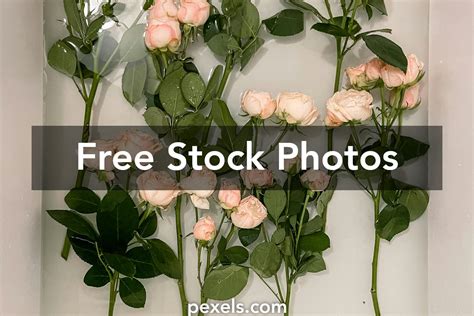 Pink Floyed Wall Photos Download The Best Free Pink Floyed Wall Stock
