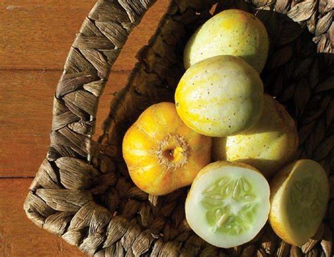 Save Your Seeds Cucumber Pip Magazine