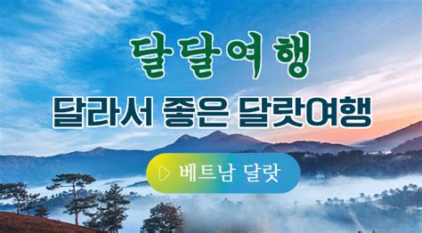 베트남 전문 현지 여행사 티그룹 Tgroup