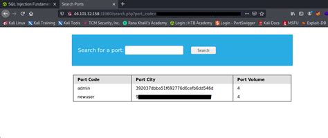 Sql Injection Fundamentals Grey Hat Developer