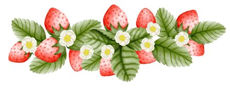Watercolor Strawberry Pngs For Free Download