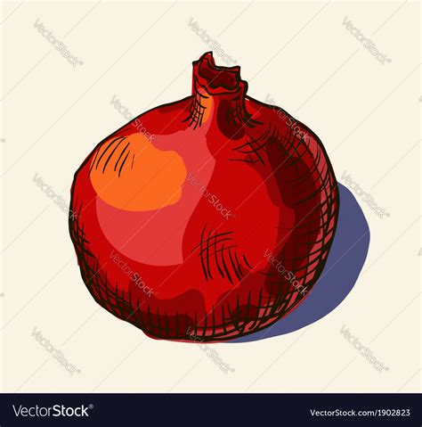 Garnet Sketch Royalty Free Vector Image VectorStock