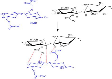 Fabrication And Characterization Of Silver Nanoparticle Doped Chitosancarboxymethyl Cellulose
