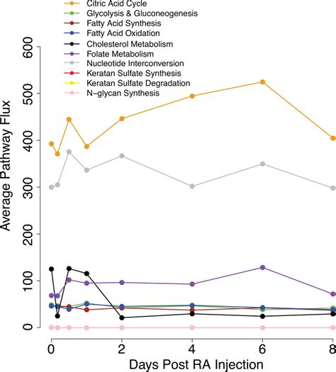 Activities Of Other Pathways In The Germ Cell Specific Metabolic Download Scientific Diagram